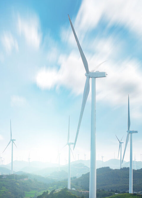 Alterna Verde Corporation