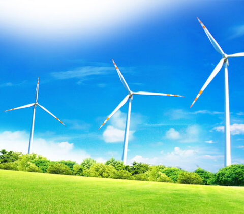 Solutions | Alterna Verde Corporation
